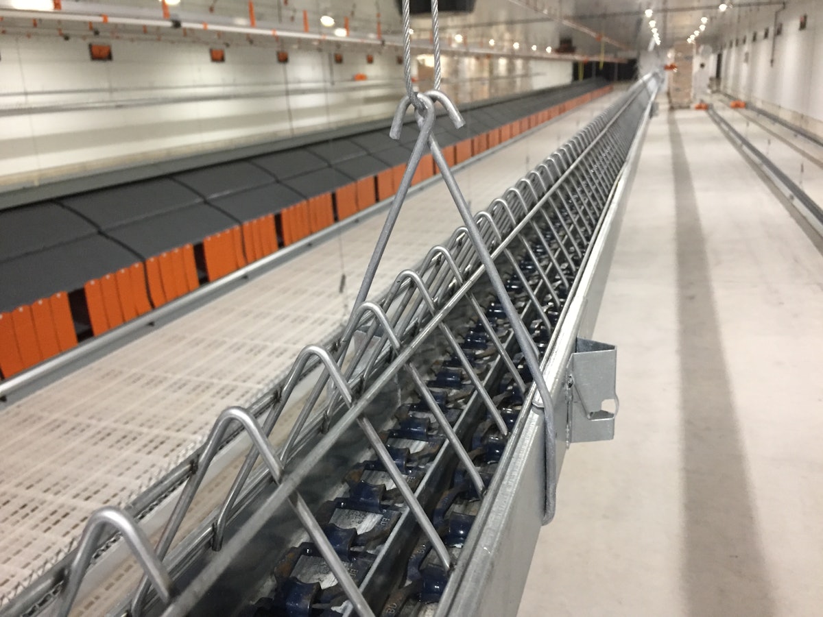 Big Dutchman DuoChain Female Chain Feeding System From: Big Dutchman ...