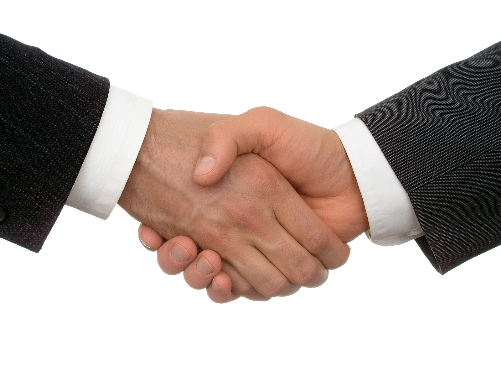Hook2 Sisters Poultry Venture Moves to Boparan Office | WATTPoultry.com