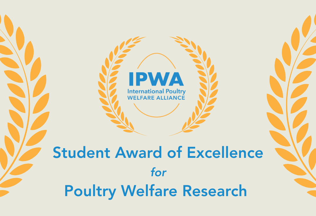 IPWA calls for 2026 Student Award of Excellence entries | WATTPoultry.com