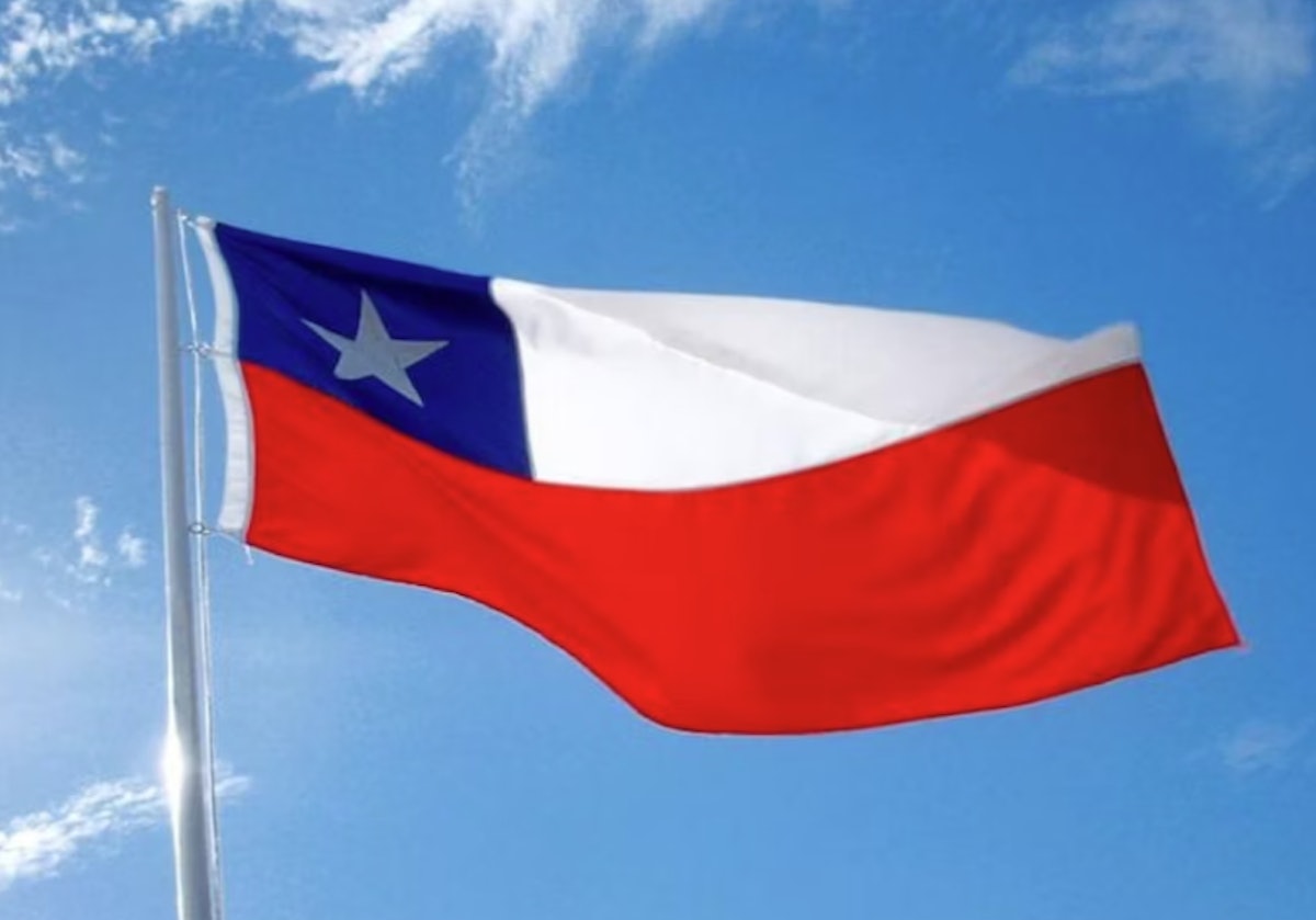 Fowl typhoid returns to Chile | WATTPoultry.com