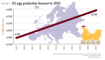 China leads egg production, producing half the world’s eggs ...