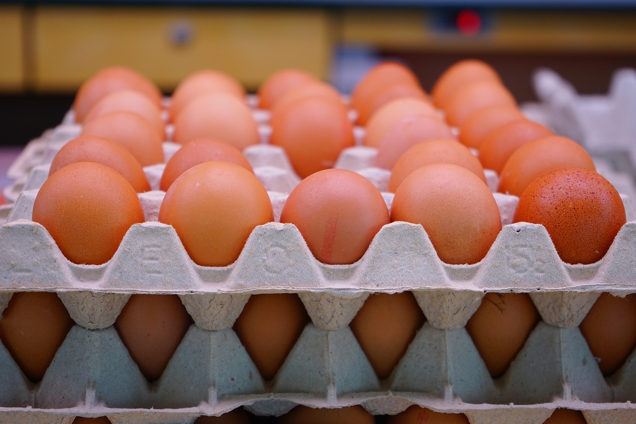 UK’s Sunrise egg company acquired by Agrova of Latvia | WATTPoultry.com