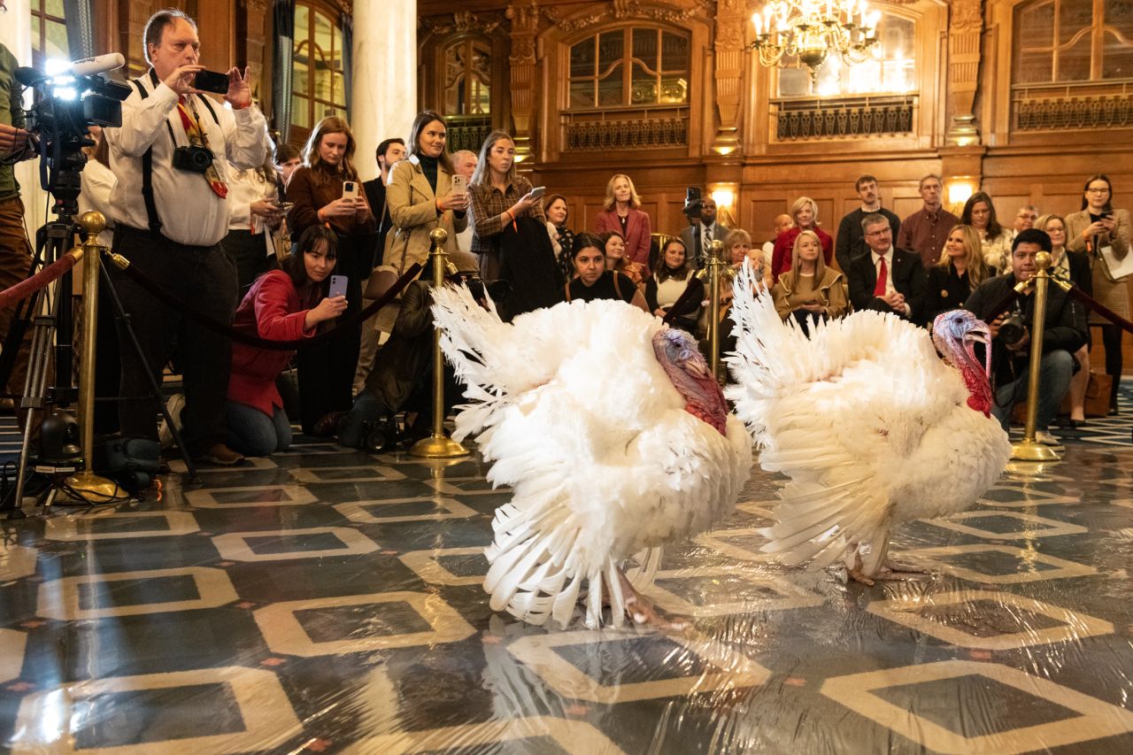 Fox leads presidential turkeys to the Wolfpack | WATTPoultry.com