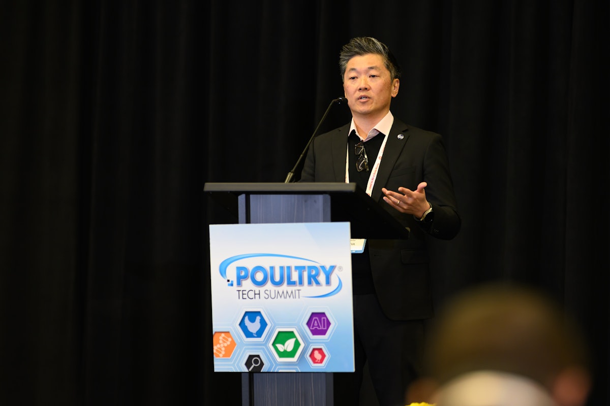 Automated gender sorting could boost broiler sustainability ...