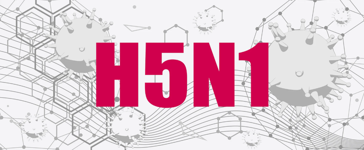 Poultry farm avian flu outbreaks confirmed in 11 European states ...