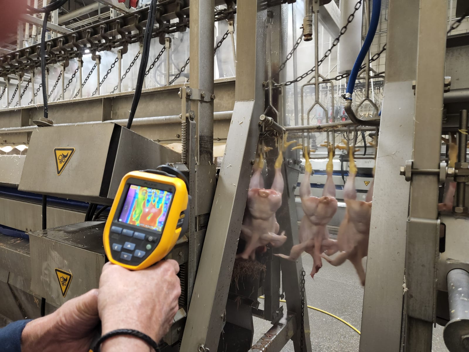 How to achieve good plucking during poultry processing | WATTPoultry.com