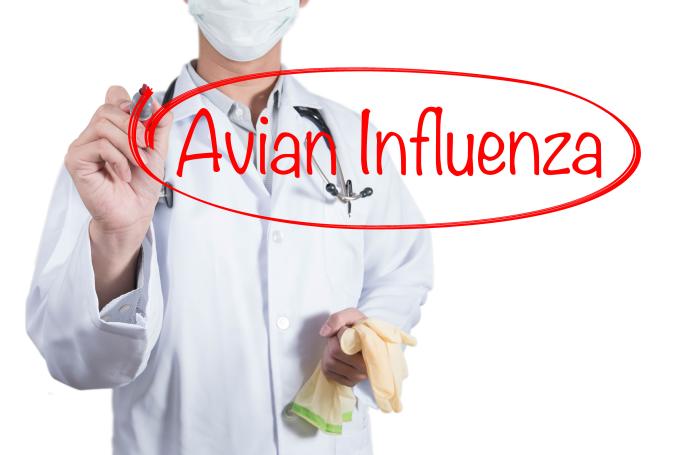 Wisconsin loses more than 3 million birds to avian influenza ...