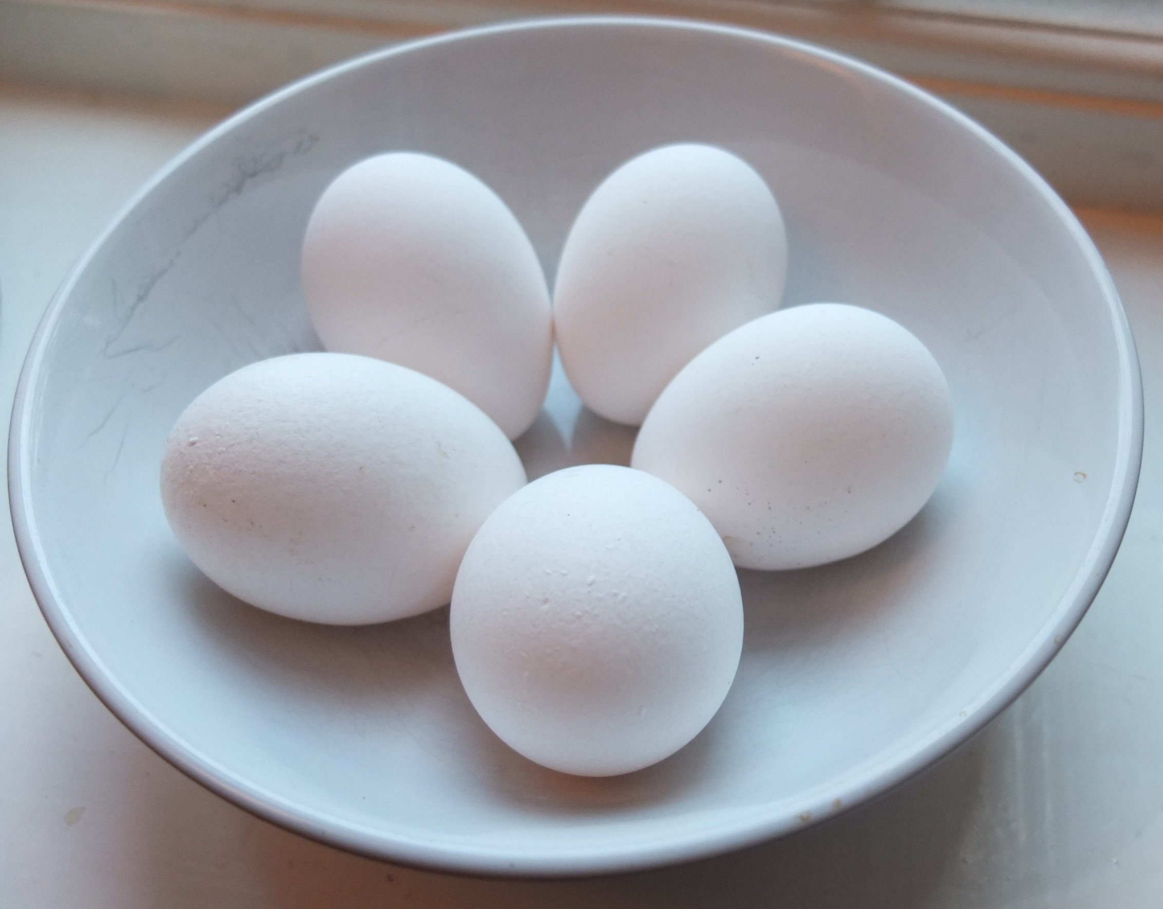 Will the UK egg market go white? | WATTPoultry.com