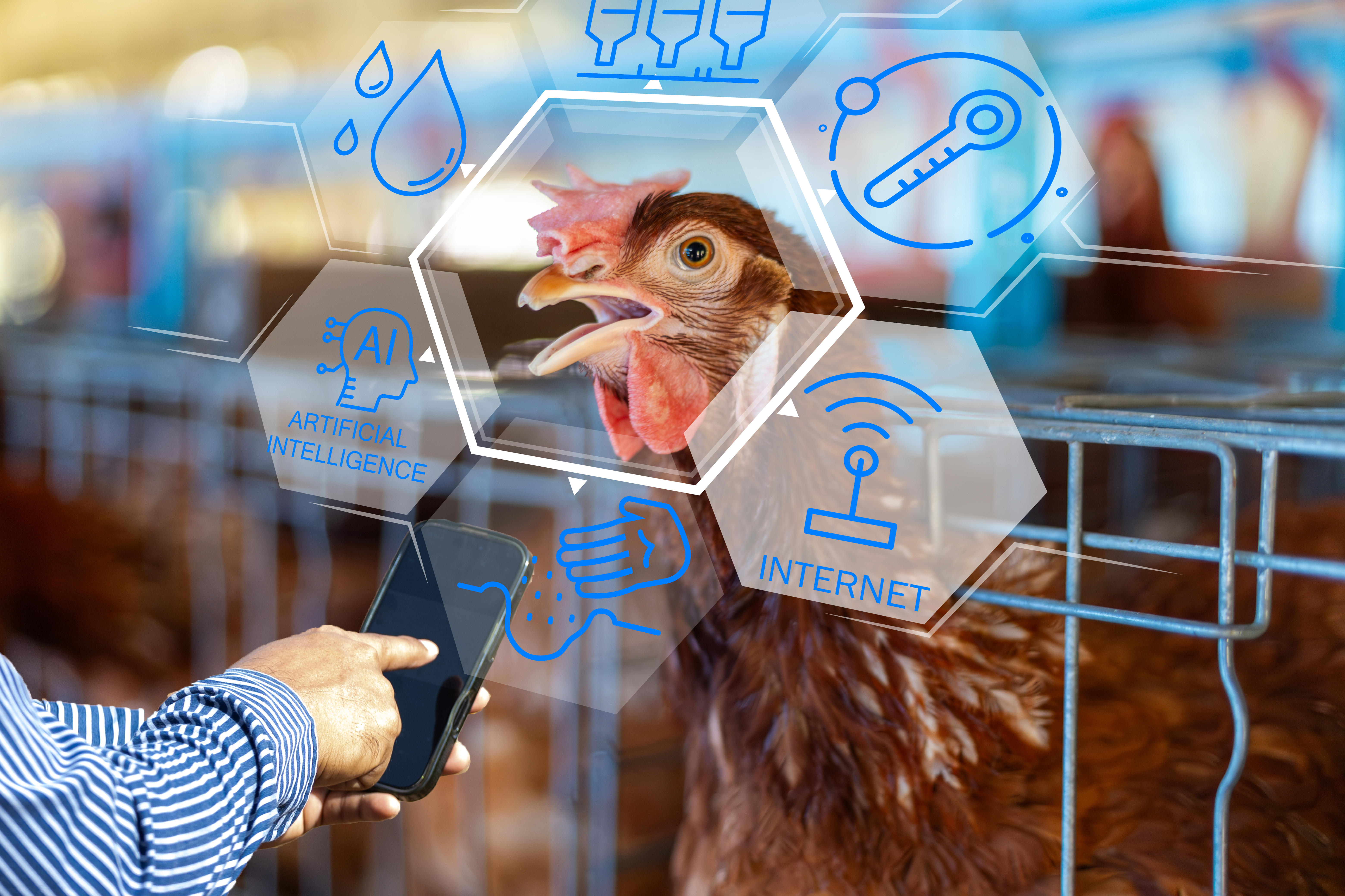 Inside AI’s role in today’s broiler supply chain | WATTPoultry.com